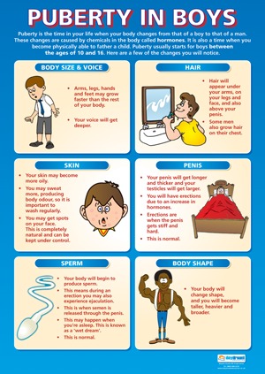 Personal, Social and Health School Poster - Puberty in Boys