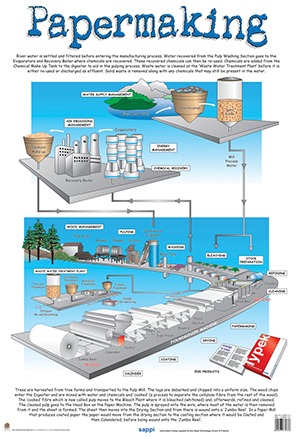 Papermaking - Lets Look