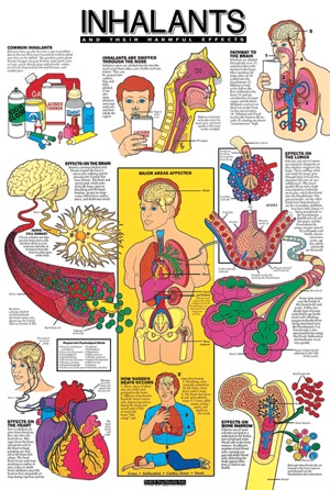 Inhalants and Their Harmful Effects