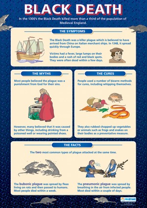 History Schools Posters - Black Death
