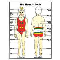 Anatomy Charts for Children | Kids Charts Australia