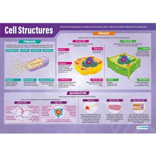 Cell Structures Poster