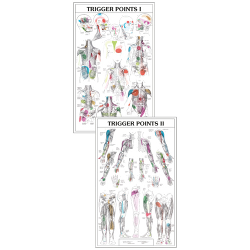 Two Part Trigger Point Chart Set